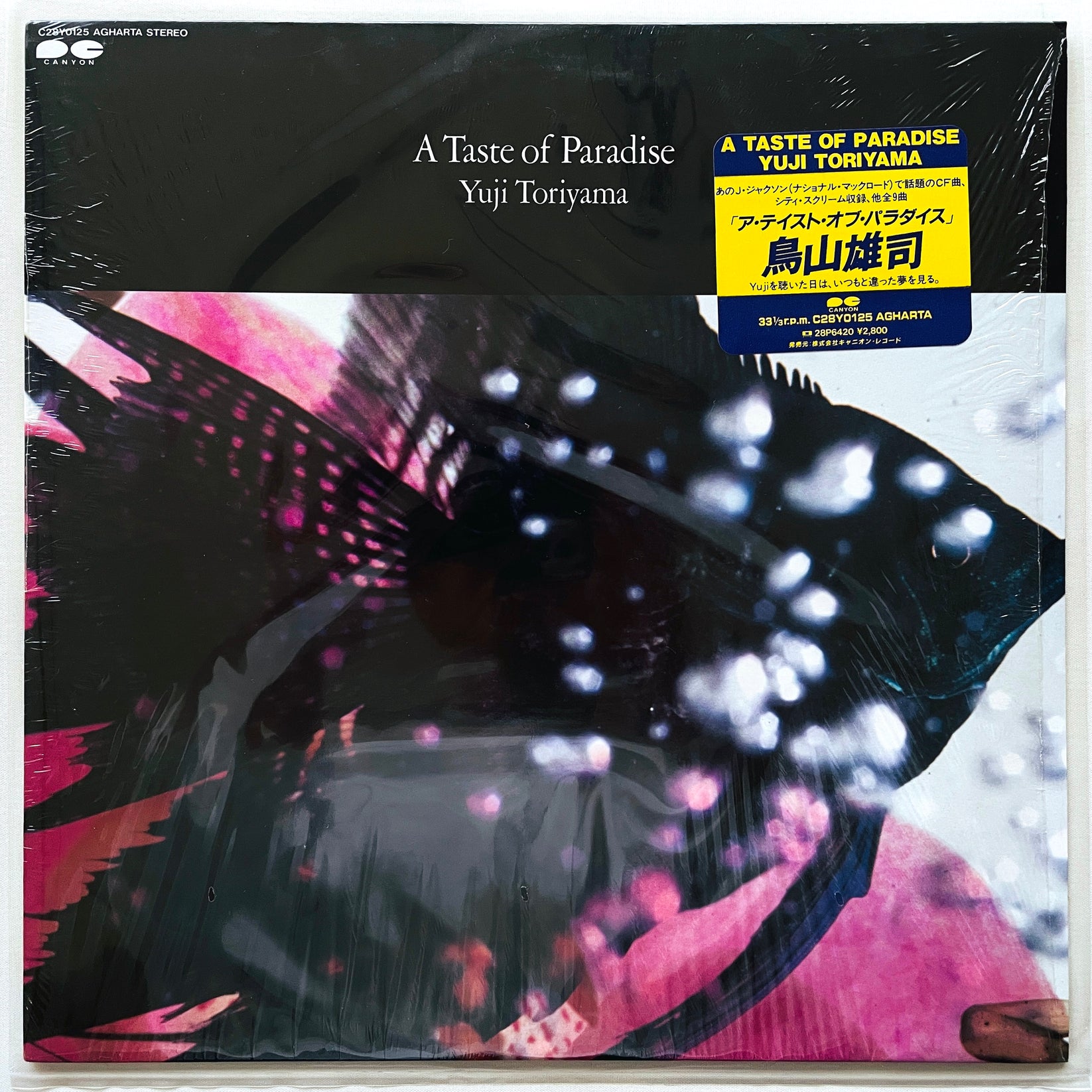 Yuji Toriyama – A Taste Of Paradise (Original) – Portal Records